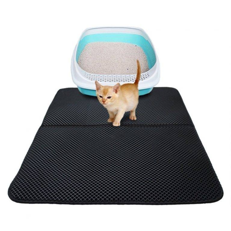 Waterproof Pet's Litter Mat - Style Review